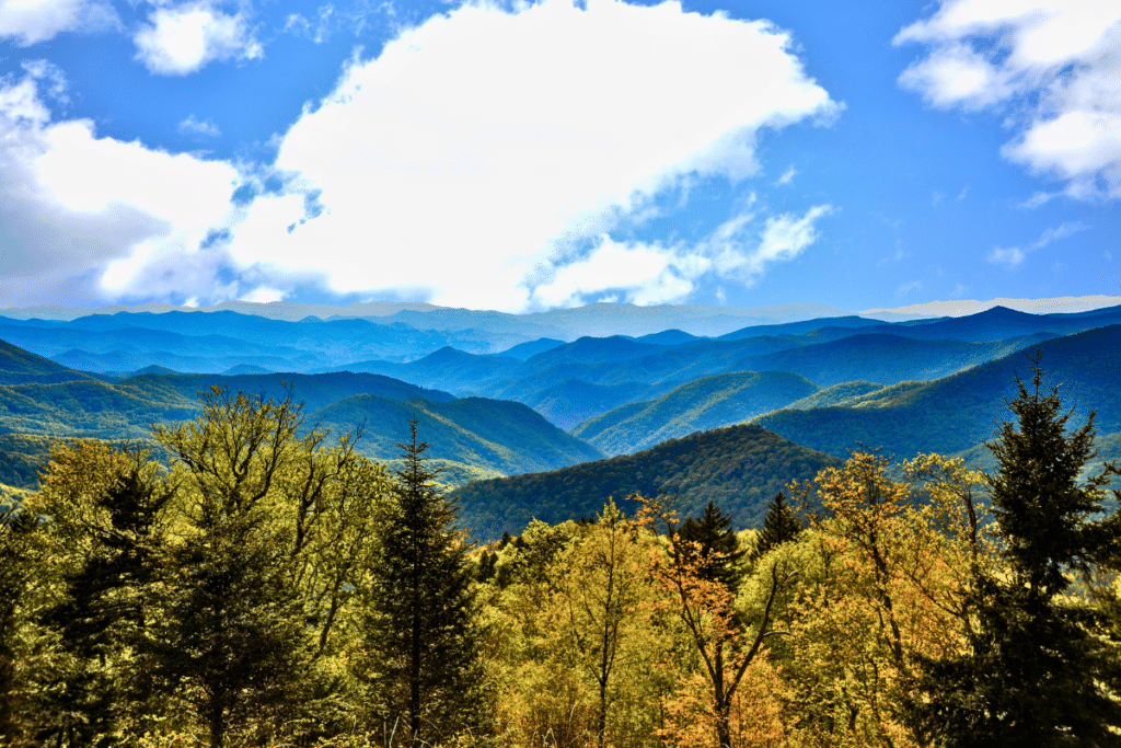 Fill Your Lungs With the Crisp Air of This North Georgia Mountain Town ...